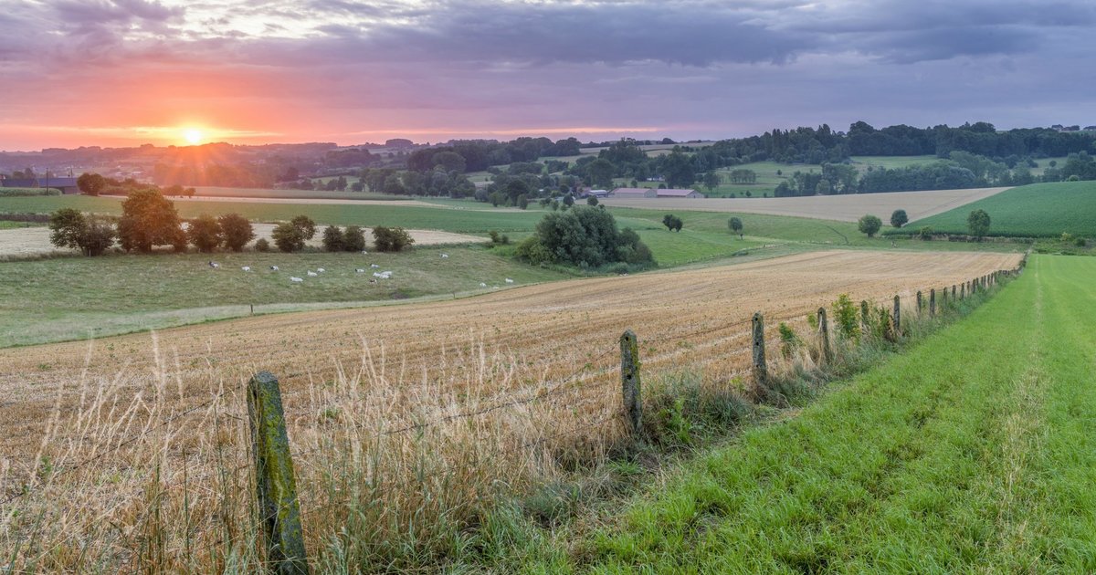 De wandelroutes met het mooiste uitzicht | In de Vlaamse Ardennen